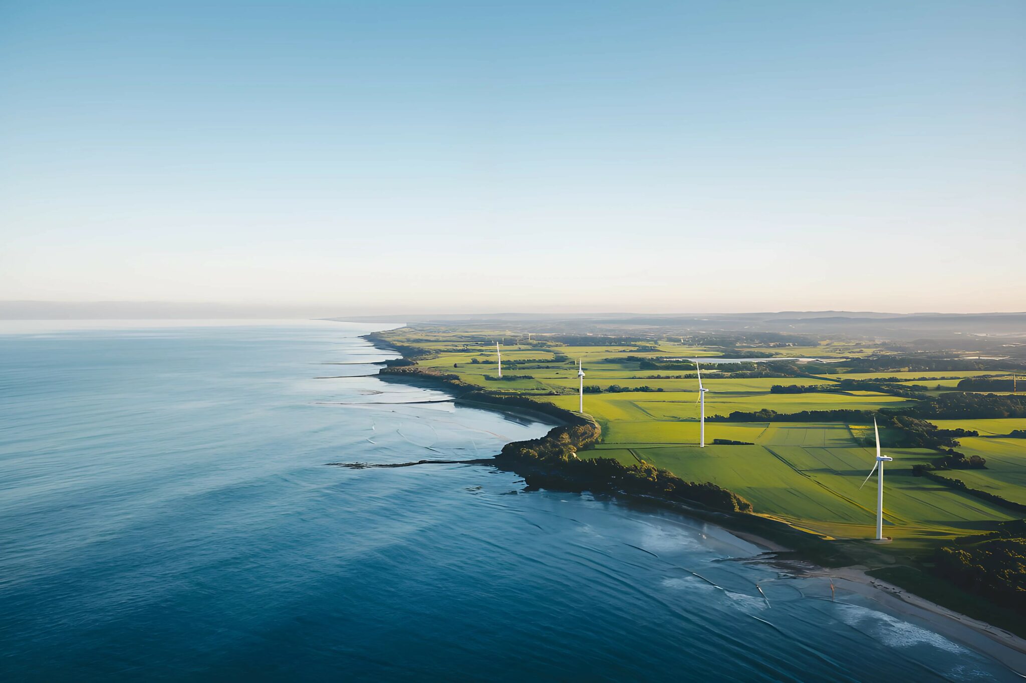BBNJとは｜海洋生物の多様性と企業活動との関係をわかりやすく解説 | 自然電力の脱炭素支援サービス – 自然電力グループ